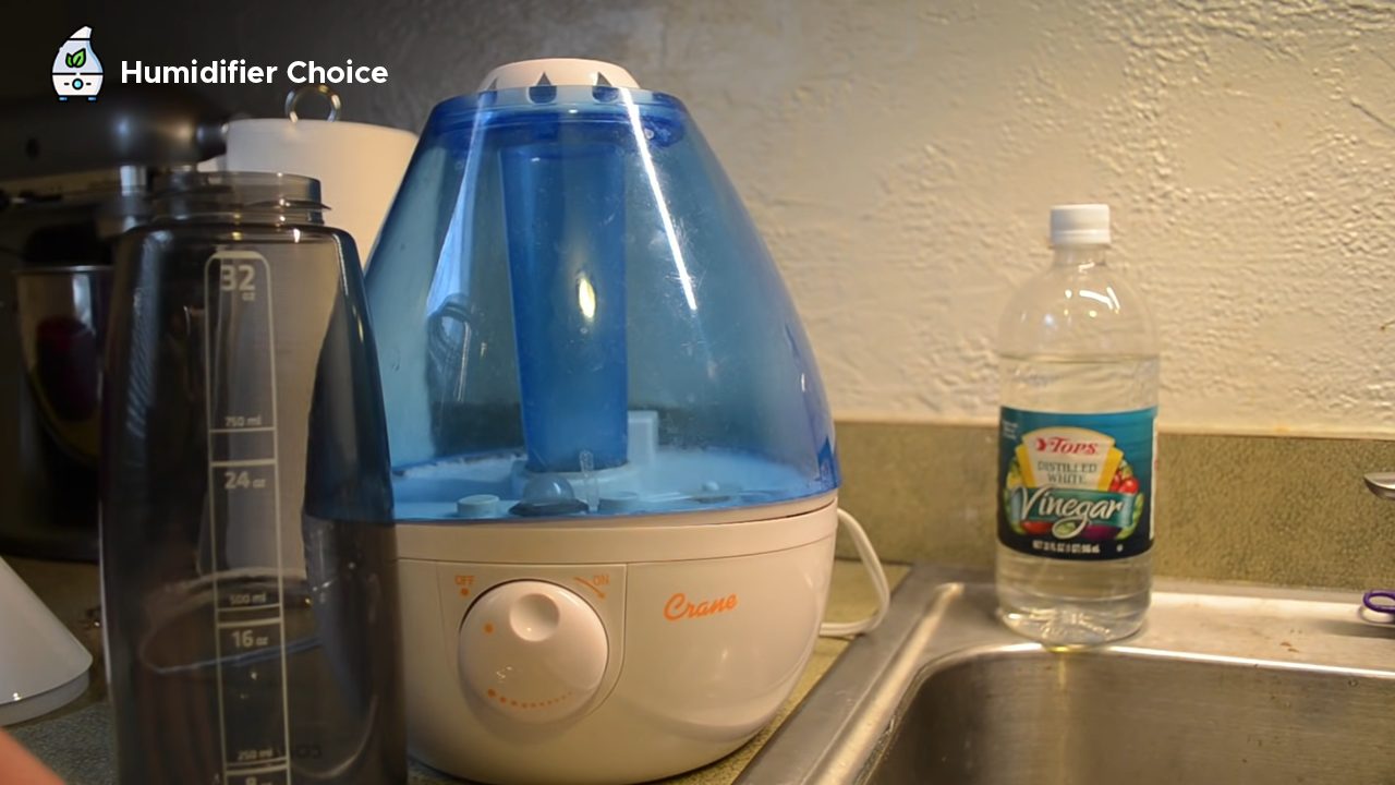 Humidifier Vs Diffuser: What's The Difference Between Them In 2025?