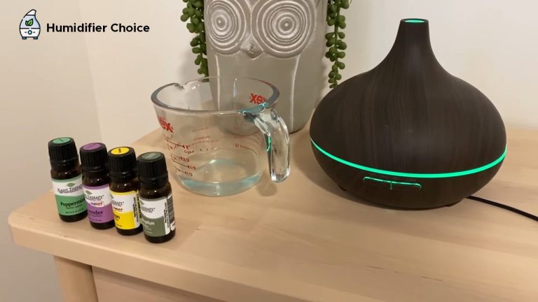 Humidifier Vs Diffuser: What's The Difference Between Them In 2025?