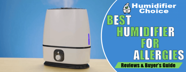 8 Best Humidifier For Allergies In 2024 - Humidifier Choice