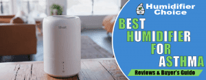 8 Best Humidifiers For Asthma In 2026 - Humidifier Choice