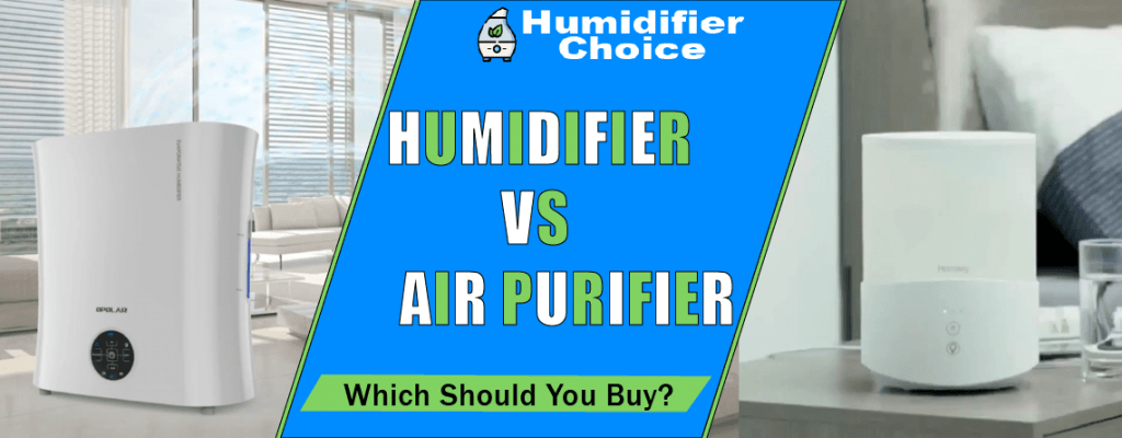 Humidifier Vs Air Purifier: Which One Should You Pick In 2025?