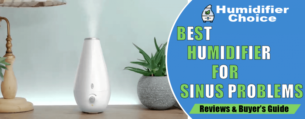 Best Humidifier For Sinus Problems In 2024 - Humidifier Choice
