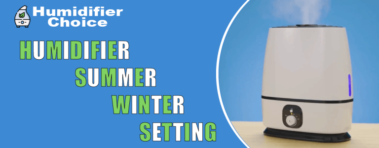 Best Humidifier Settings For Summer And Winter In 2025